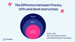 Policy vs. SOP: What’s the Difference and Why It Matters | Whale