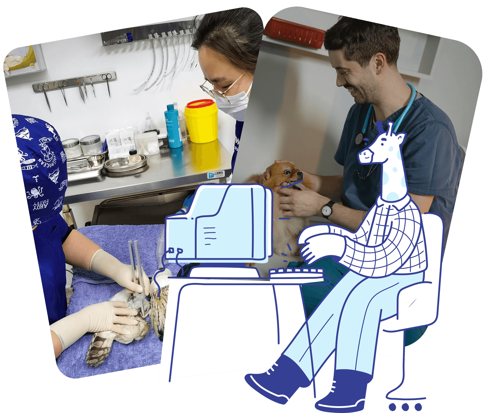 Veterinary Assistant Training Checklist - Whale